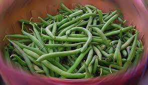 CHAUCHA ROLLIZA – Reparto Alegría